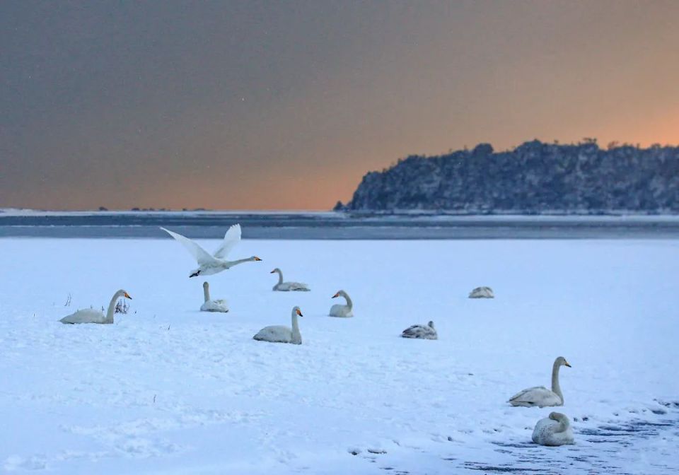 威海迎今冬初雪！_腾讯新闻