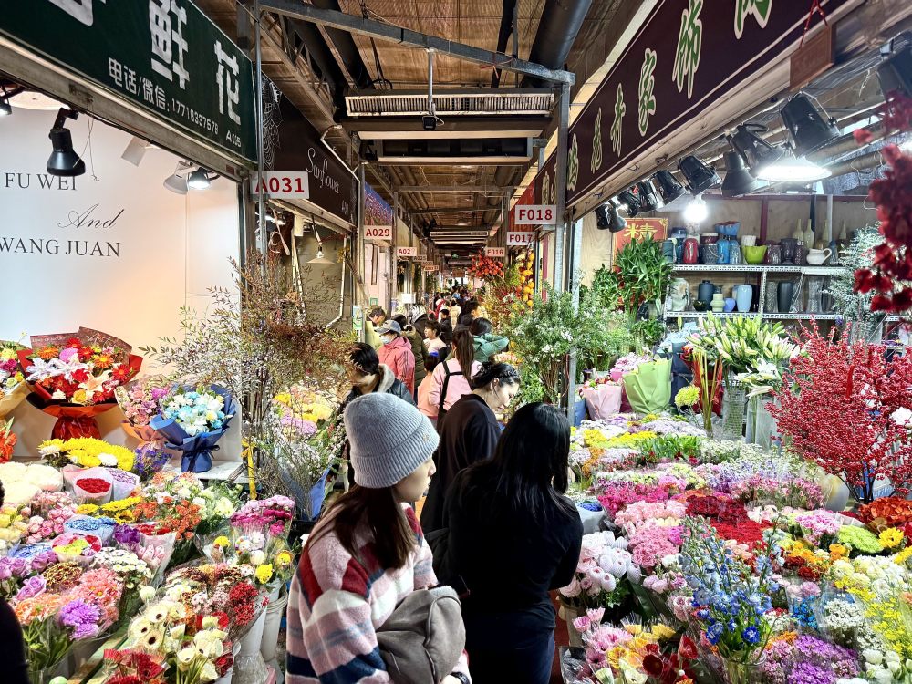 年宵花香，年味渐浓_腾讯新闻