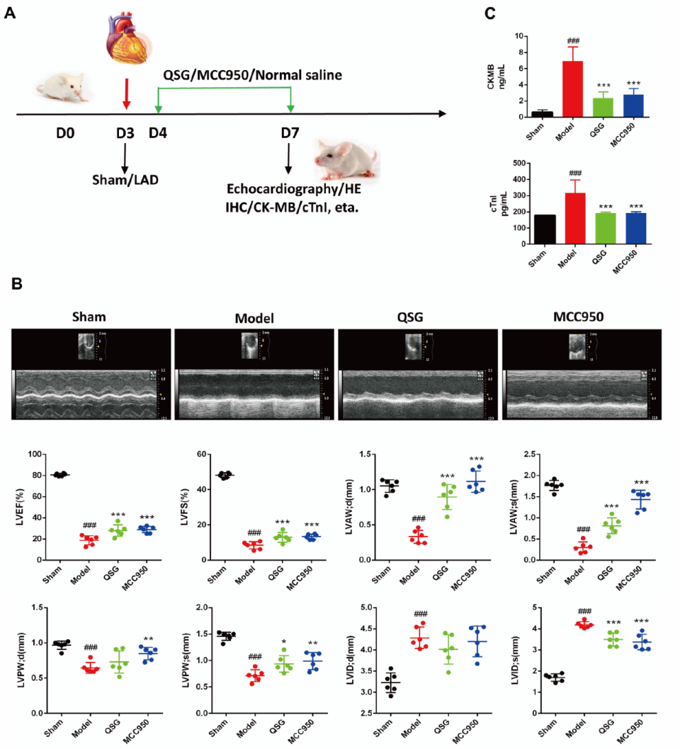 AbMole科研-芪参颗粒治疗急性心肌缺血的新途径P2X7R-NEK7-NLRP3炎症体的激活_腾讯新闻