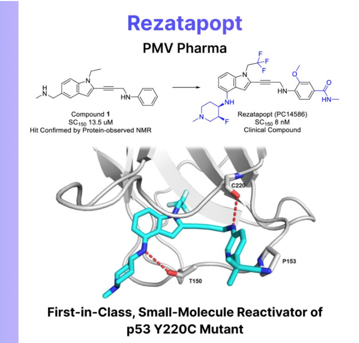 给p53蛋白“做手术”！新药Rezatapopt填补基因漏洞，《新英格兰医学杂志》数据证实疗效！_腾讯新闻