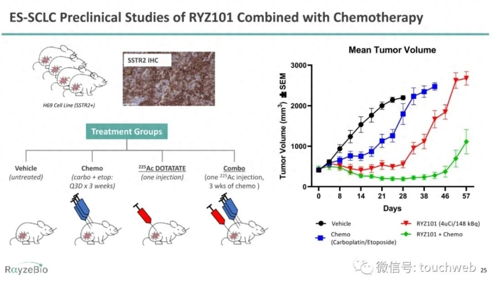 生物医药企业RayzeBio上市：市值13亿美元 路演PPT曝光_腾讯新闻