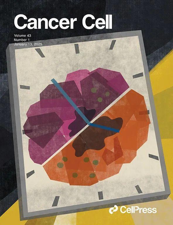 2025年1月，这些研究登上了Cell Press期刊封面！_腾讯新闻
