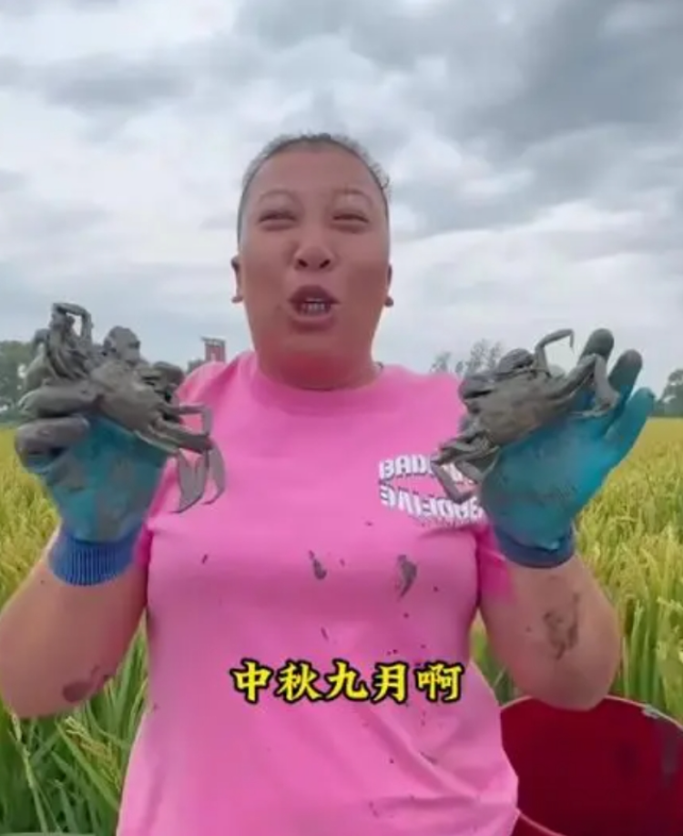 起底东北雨姐的“彪悍”人生：夫妻实控约30家企业，一年3次翻车_腾讯新闻