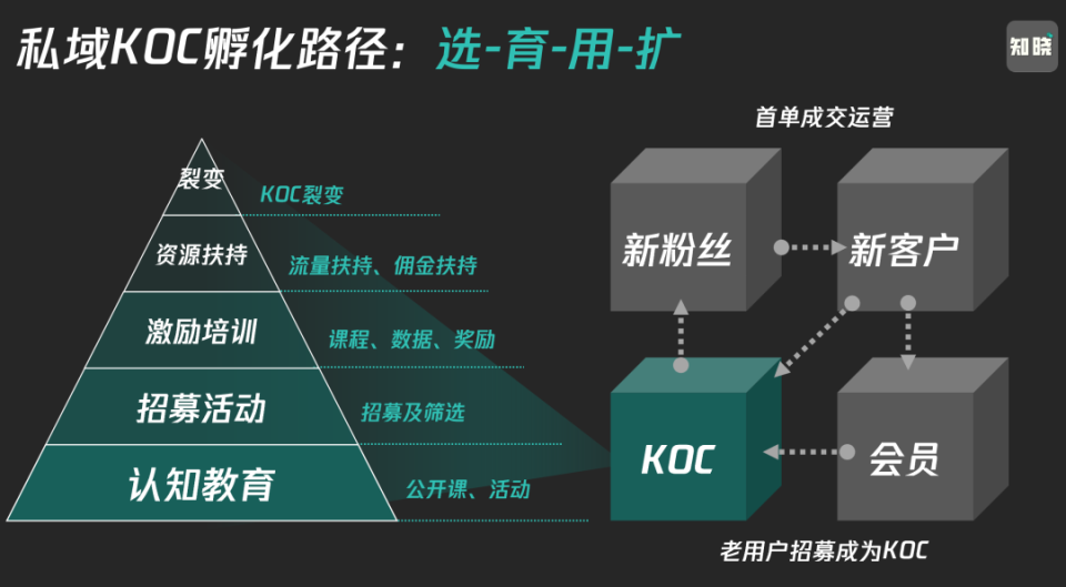 1万字讲透私域KOC体系，爆改全域运营思路_腾讯新闻