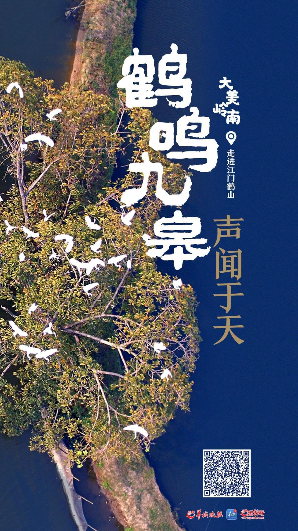 Jiangmen，Heshan：A dynamic and vital city named after the crane｜江门鹤山：鹤鸣九 ...