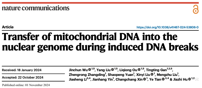 《自然》子刊：北大团队发现线粒体DNA片段可广泛整合入核基因组_腾讯新闻