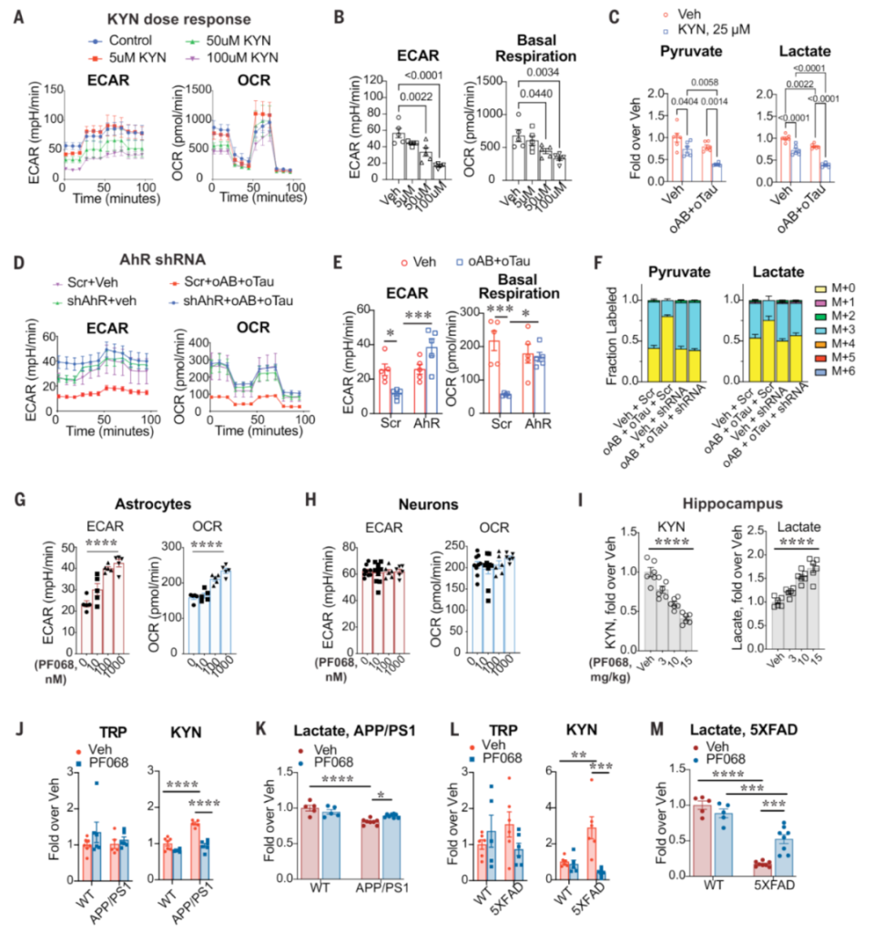 Science丨重启阿尔茨海默病患者大脑的“能源引擎”：IDO1抑制剂_腾讯新闻