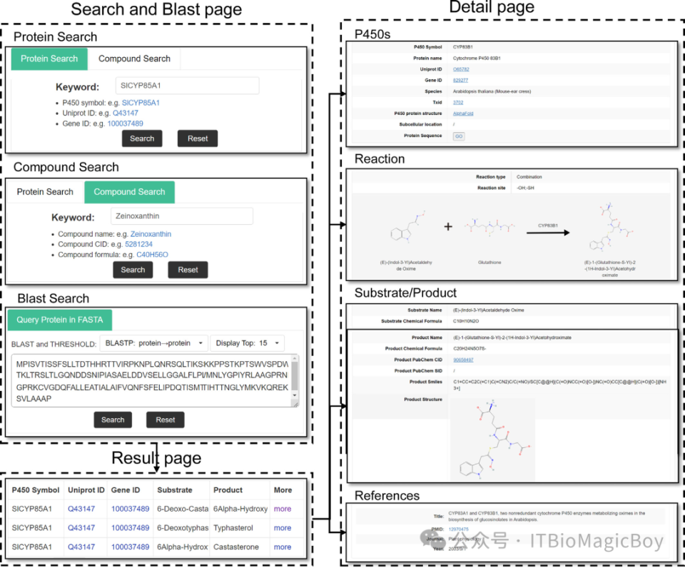 P450Rdb:一个由细胞色素P450酶催化的人工整理的反应数据库_腾讯新闻