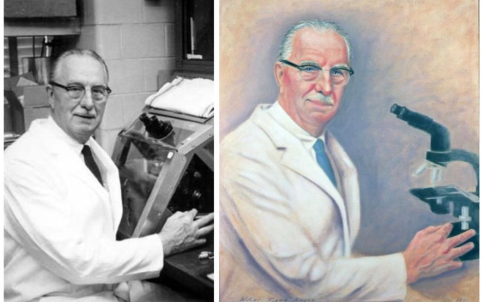 终于和解了！被私自摘取组织，帮助研究人员发表了至少6万篇论文_腾讯新闻