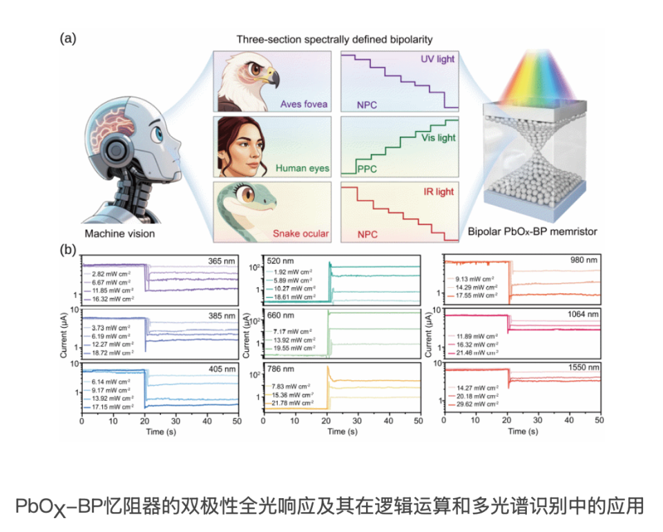 我国科学家实现全光逻辑运算与多光谱图像识别 准确率最高达98.6%_腾讯新闻