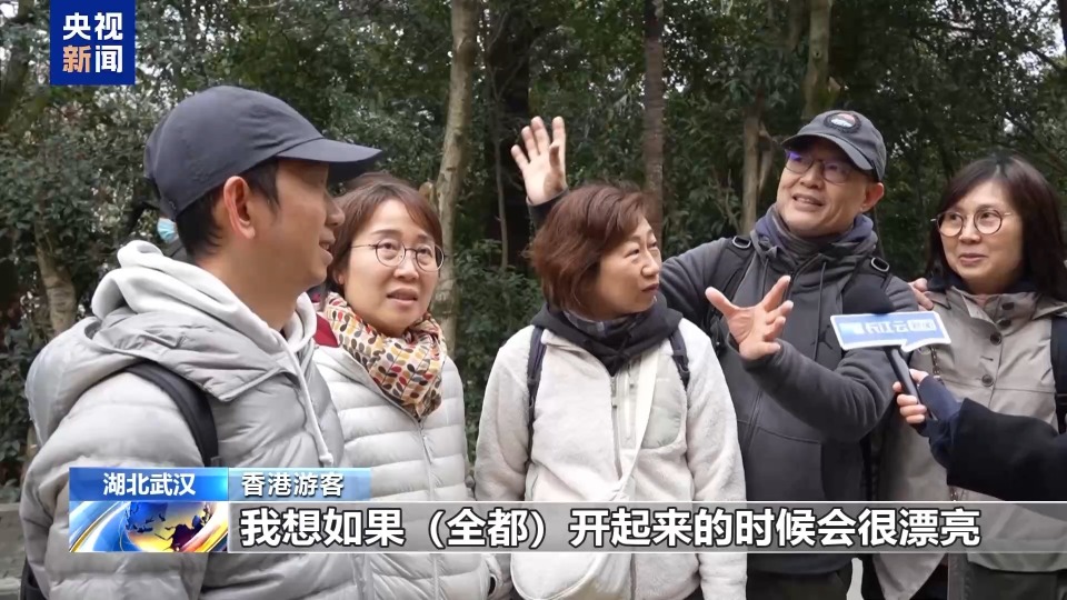 武大樱花季上线三条新线路 志愿者引导逛校园_腾讯新闻