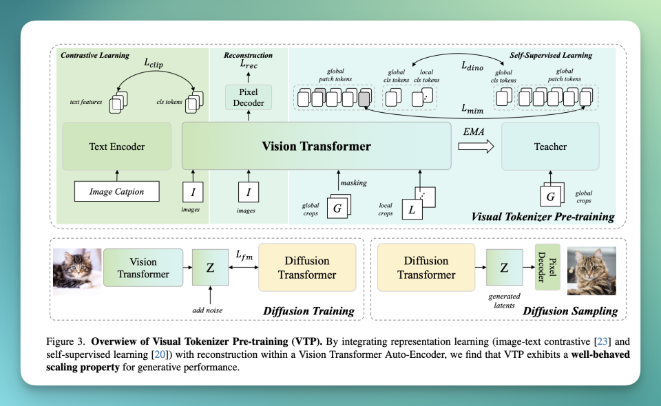 MiniMax海螺首次开源 VTP，打通了 Visual Tokenizer 的 Scaling Law_腾讯新闻