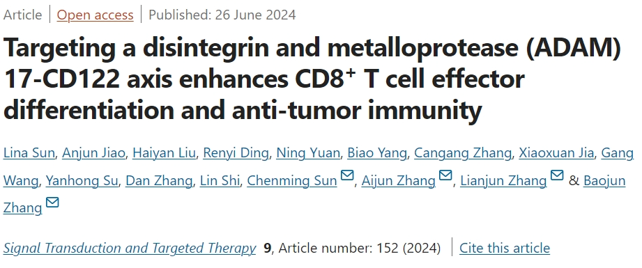 STTT：西安交大等团队揭示影响CD8+T细胞效应分化和抗癌功能的新机制！_腾讯新闻