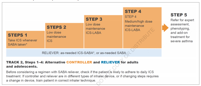 GINA 2024重磅更新！十六大要点先睹为快_腾讯新闻