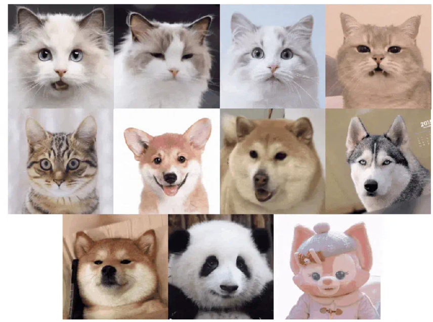 快手开源LivePortrait，GitHub 6.6K Star，实现表情姿态极速迁移_腾讯新闻