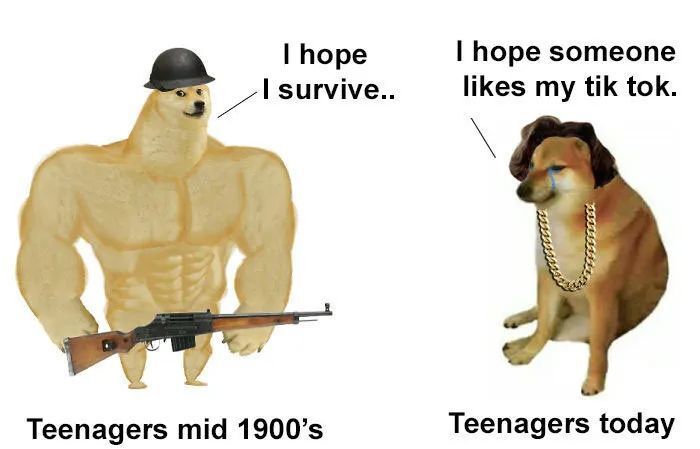 好狗狗上天堂：为永生的Cheems办一场葬礼_腾讯新闻