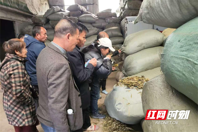 人才引领产业发展 科技赋能乡村振兴_腾讯新闻