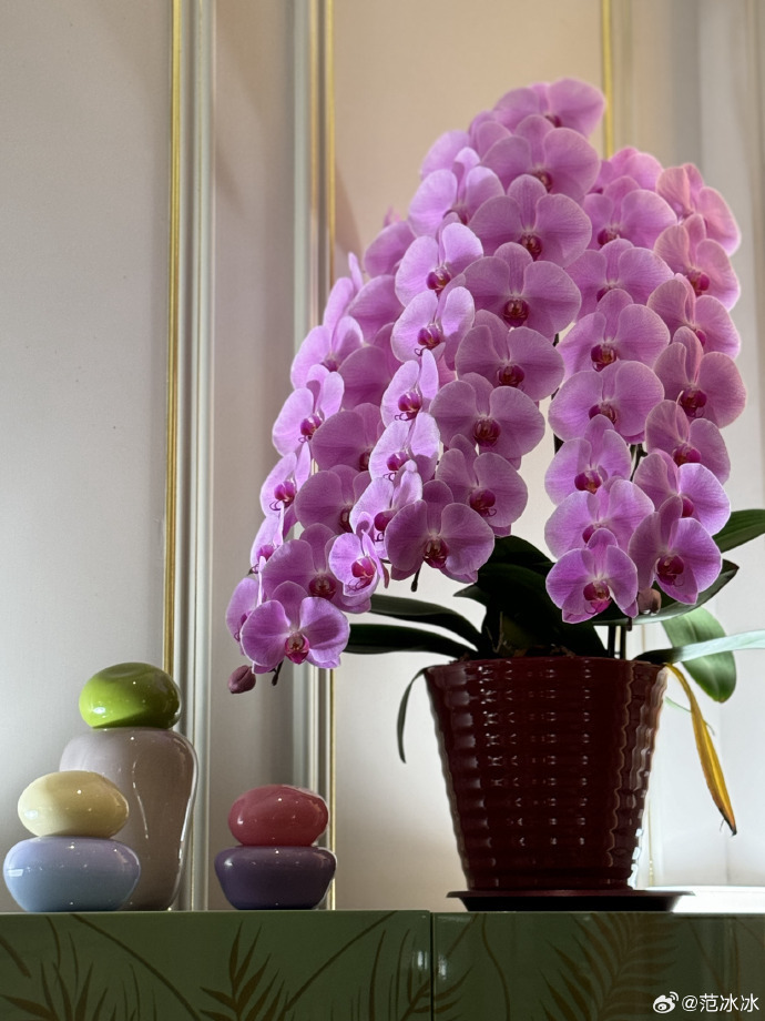 范冰冰高调炫富，奢华豪宅摆满鲜花，年收入超2500万 -6parkbbs.com