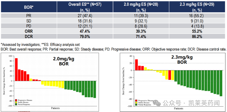 国内首个！乐普生物EGFR ADC药物维贝柯妥塔单抗申报上市_腾讯新闻