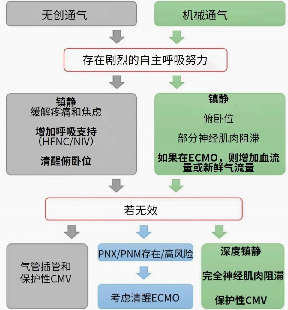 一文了解：自戕式肺损伤的管理｜临床必备_腾讯新闻