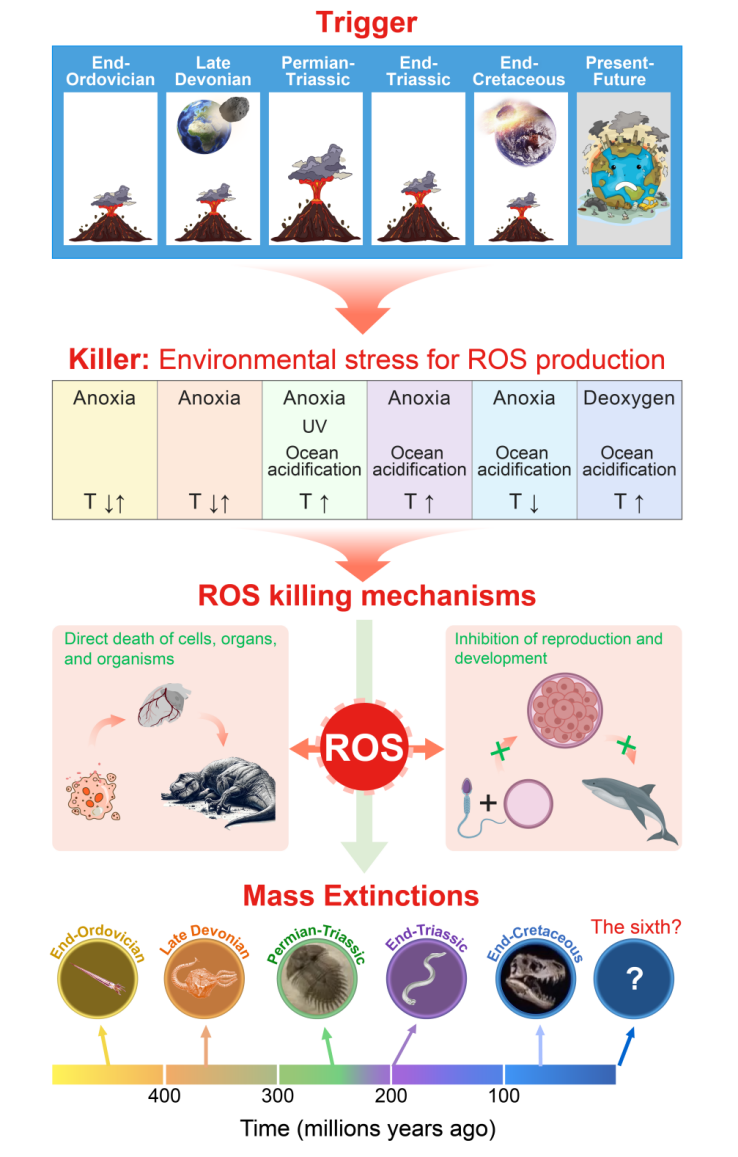 Science Bulletin | 活性氧（ROS）：生物大灭绝致命链条中的最后一环_腾讯新闻