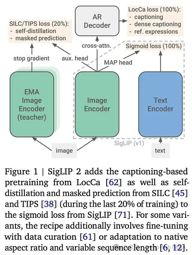 SigLIP 2：多语言语义理解、定位和密集特征的视觉语言编码器_腾讯新闻