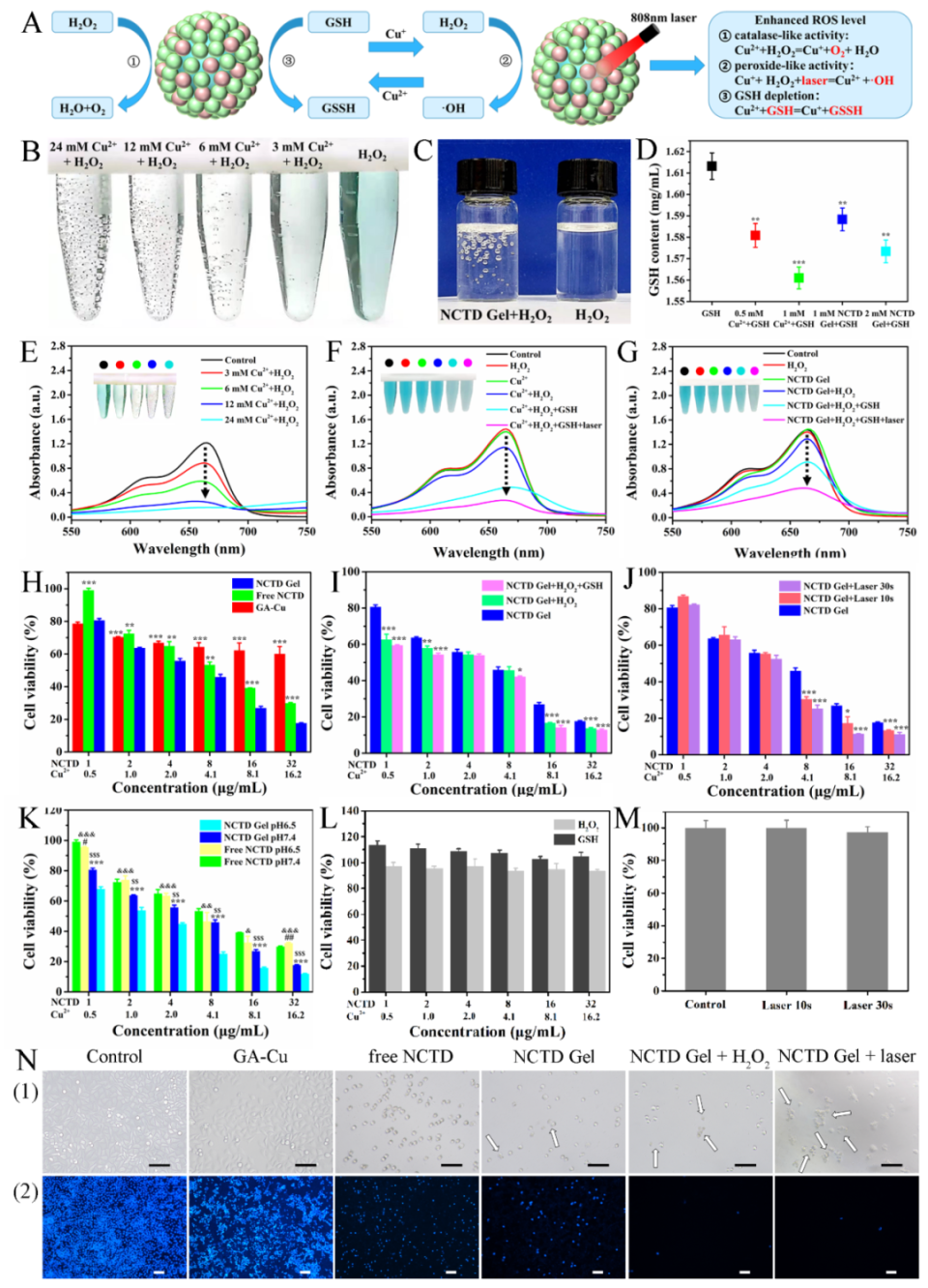 《Bioact. Mater.》北京中医药大学王鹏龙：天然小分子无载体可注射水凝胶实现激光介导的光-类芬顿抗肿瘤治疗_腾讯新闻
