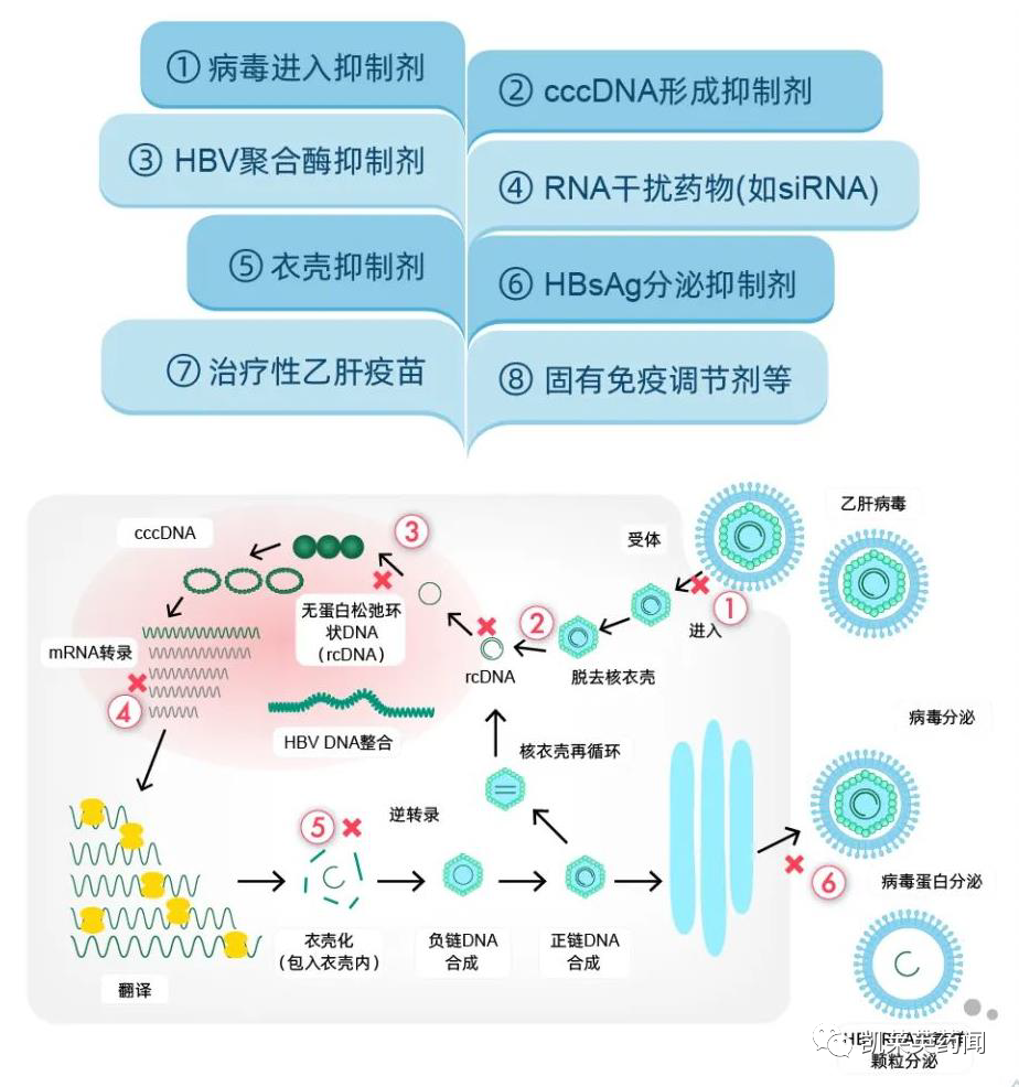 GSK接手强生，获乙肝siRNA药物JNJ-3989的全球权益_腾讯新闻