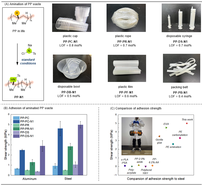 西交大/陕师大曾荣教授团队Angew：C−H键胺化合成含胺基聚丙烯_腾讯新闻