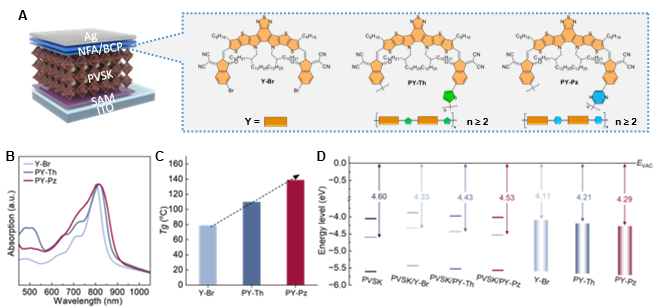 港城大Alex K.-Y. Jen团队Joule：聚合Y系列非富勒烯受体作为高效钙钛矿太阳能电池的电子传输层_腾讯新闻