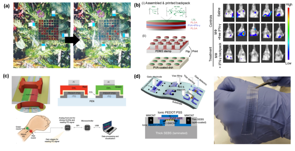 赵俊杰/杨蓉/王小雪等《Prog.Polym.Sci.》综述：聚合物薄膜的非光刻图案化方法_腾讯新闻