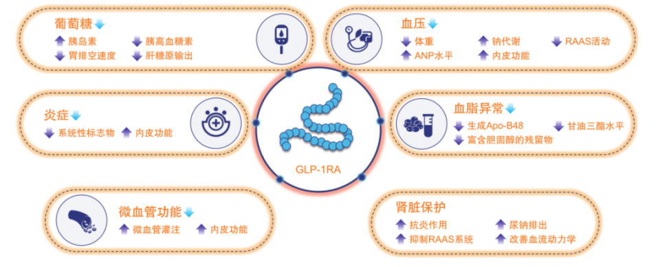 “糖心”共管——防治成人T2DM合并ASCVD，GLP-1RA应该怎么用？_腾讯新闻