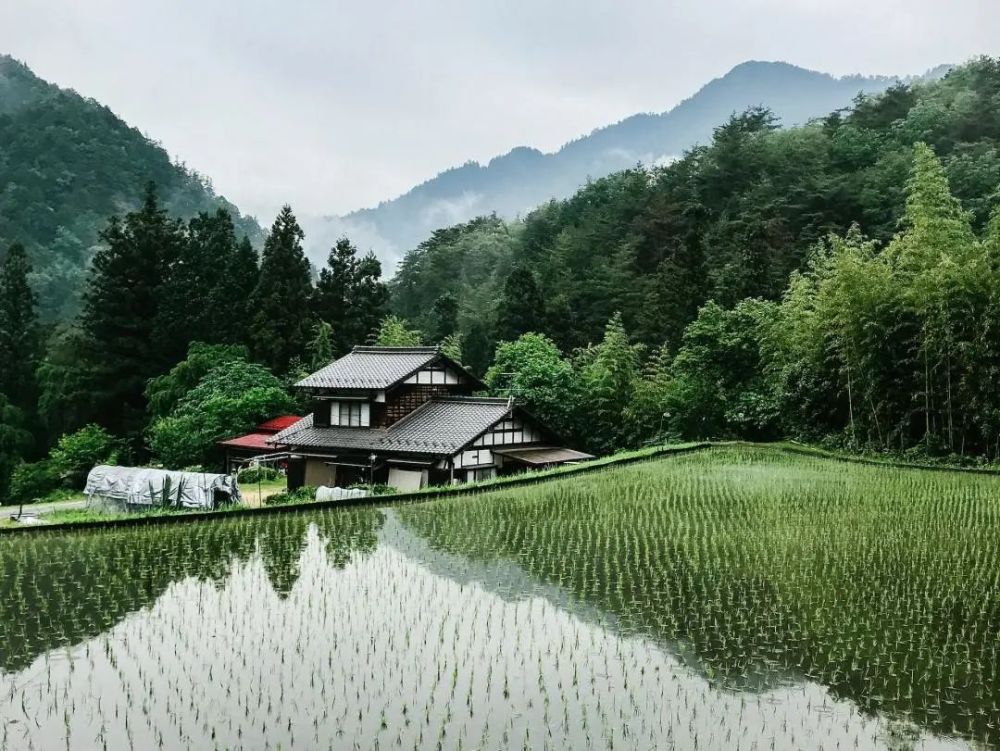 人口外流背景下，乡村治理难题如何破解？ | 社会科学报_腾讯新闻
