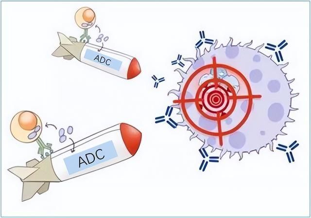 ADC类药物——锁定目标的魔术子弹，精准打击肿瘤细胞！_腾讯新闻