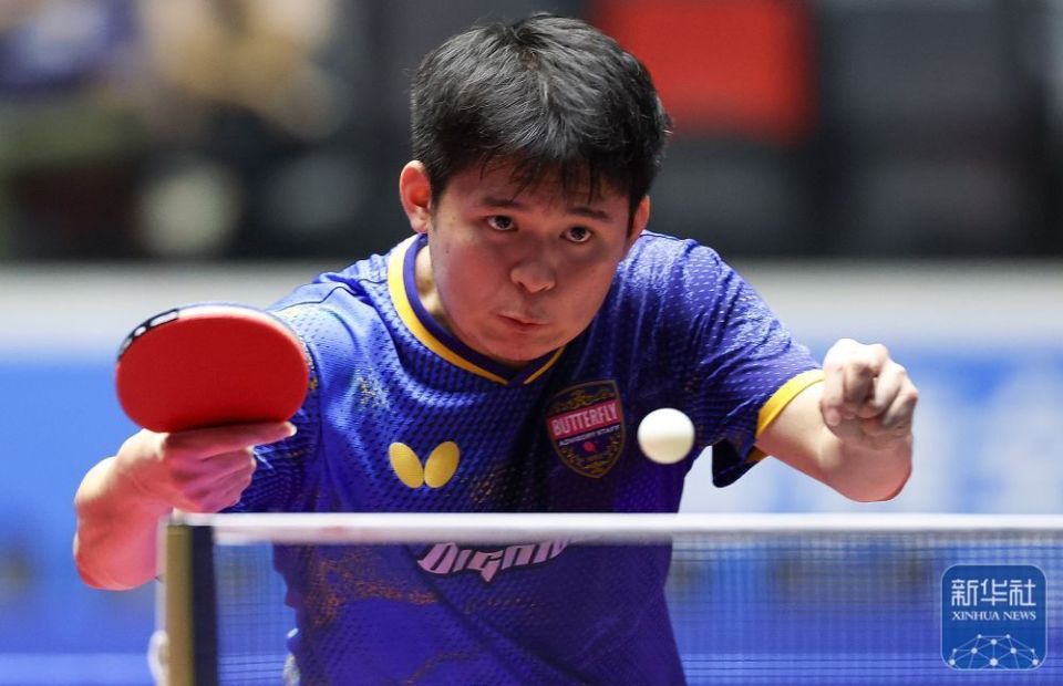 林诗栋晋级十五运会乒乓球男单决赛_腾讯新闻