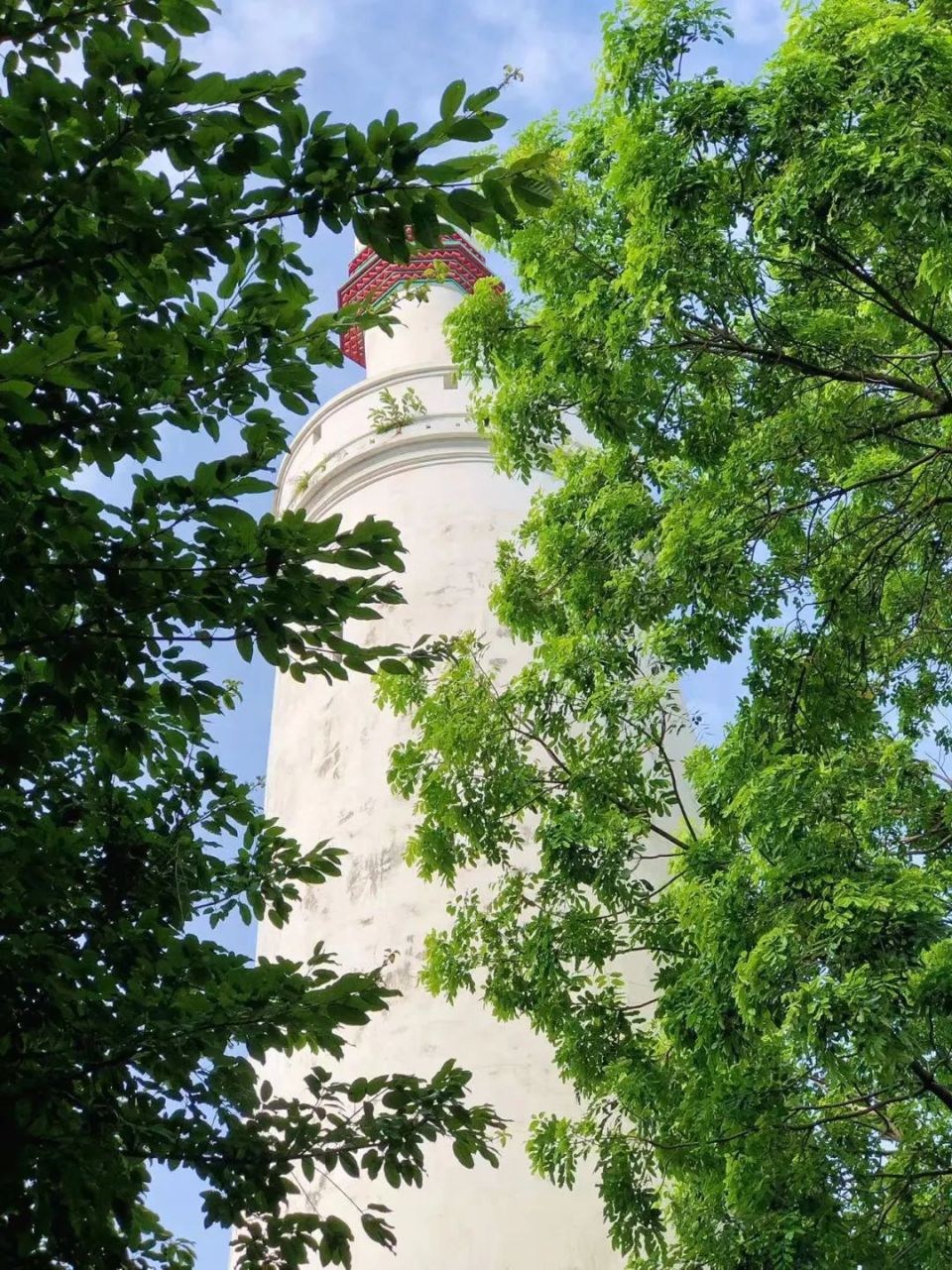 探寻光塔街，仿佛走进“民族大观园”！_腾讯新闻