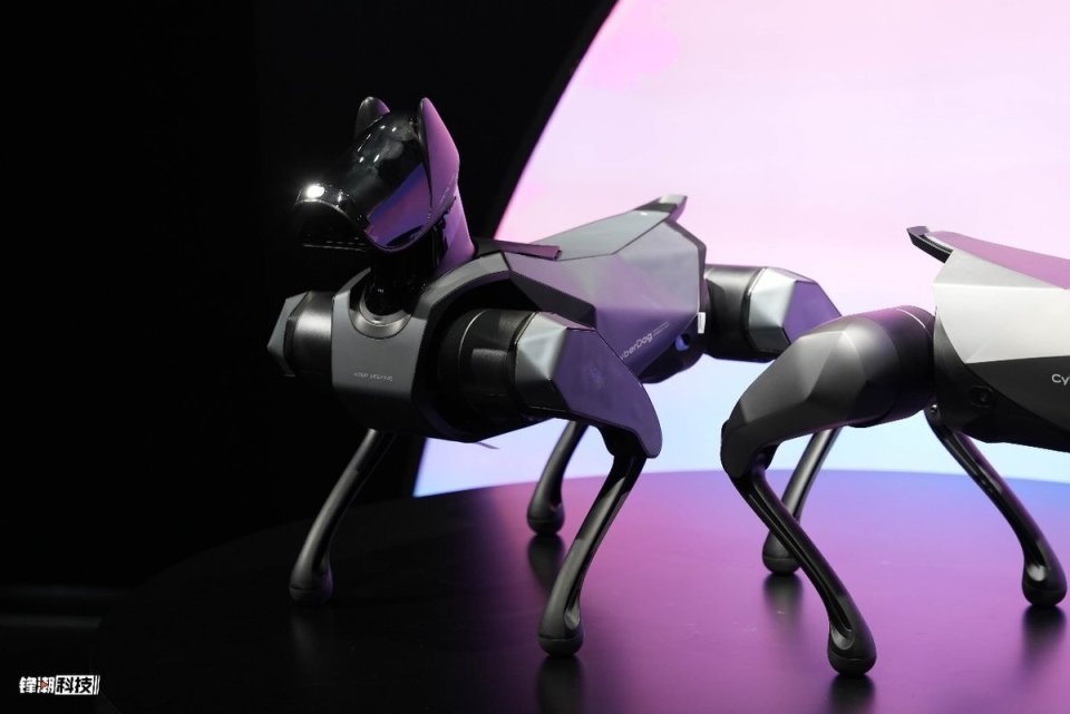 小米CyberDog 2现场体验：更聪明的仿生四足机器人_腾讯新闻