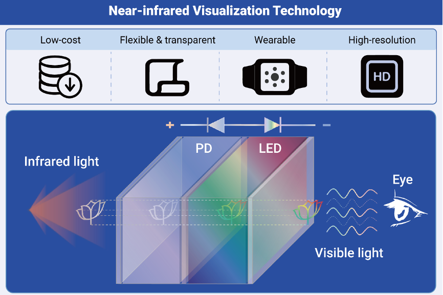 The Innovation Materials | Volume 2 Issue 2 Live Now_腾讯新闻