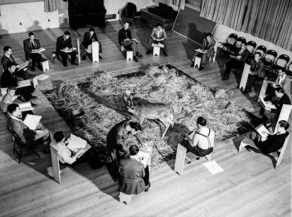 《怪物史瑞克》原型驴子，被执行安乐死！_腾讯新闻