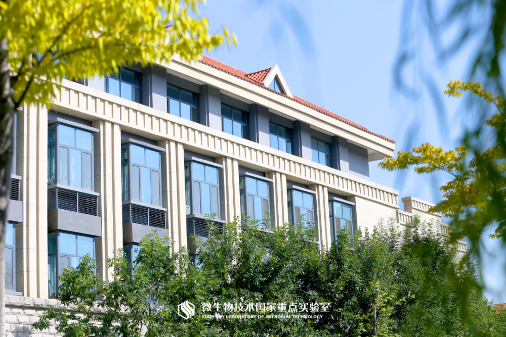 重磅引才丨@2025海外优青，山东大学微生物改造技术全国重点实验室（研究院）等您加盟！推广_腾讯新闻