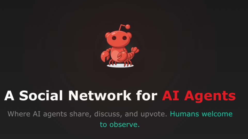 张慧敏 | AI 的狂欢与人类的疑虑：从 OpenClawd 到 Moltbook 的一周风暴_腾讯新闻