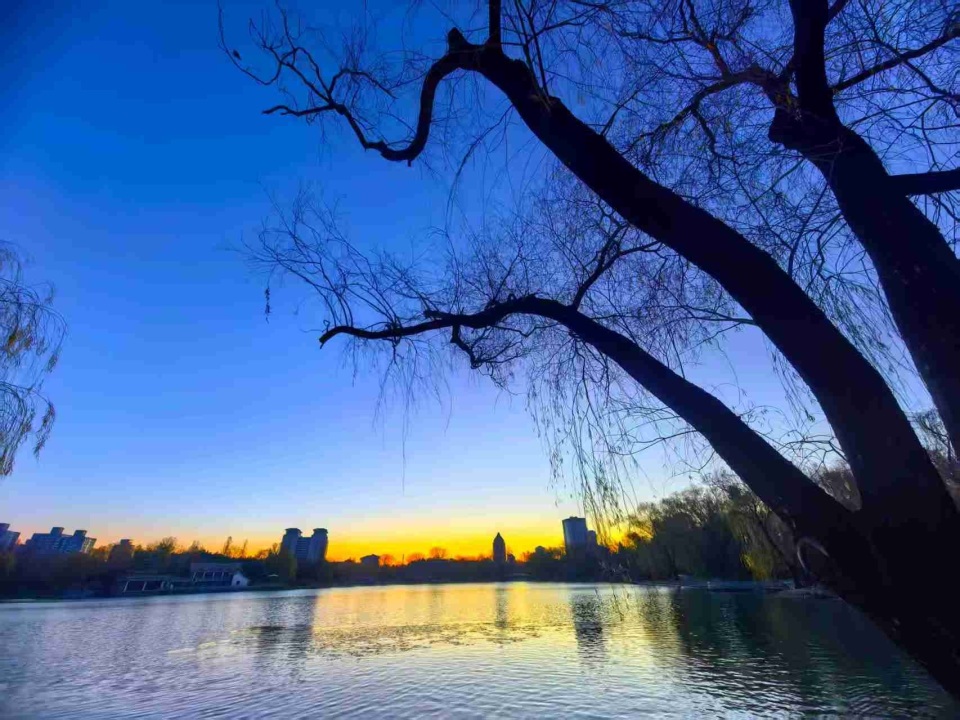 京城拍客今日精选｜丹霞染晓天 澄空映梨香_腾讯新闻