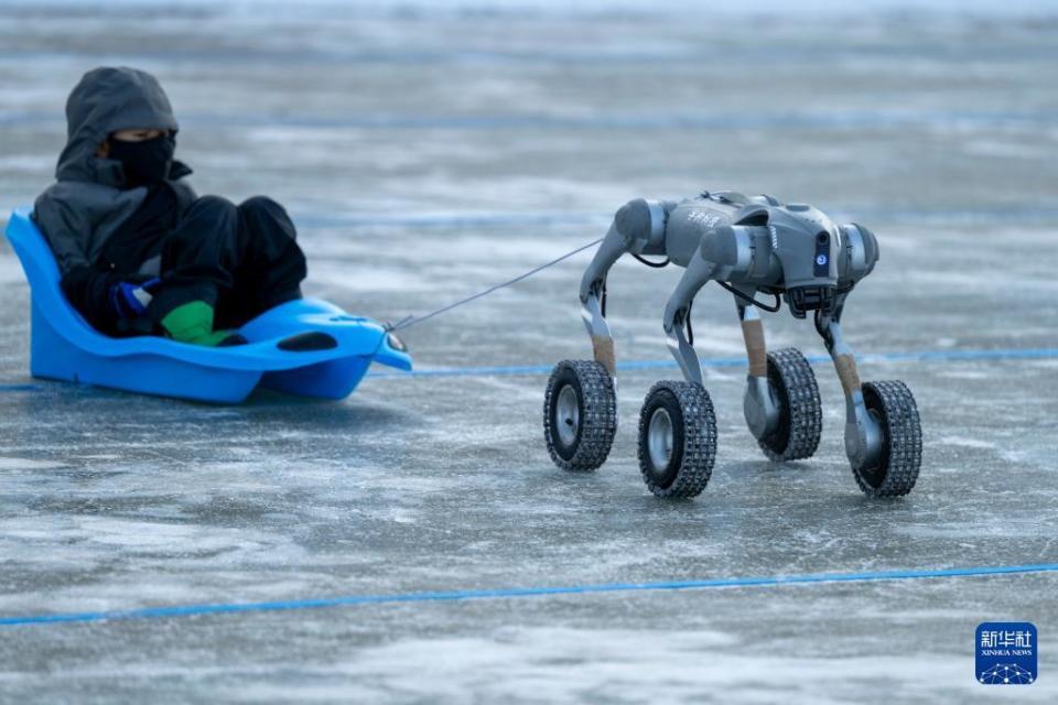 镜头里的冬日哈尔滨_腾讯新闻