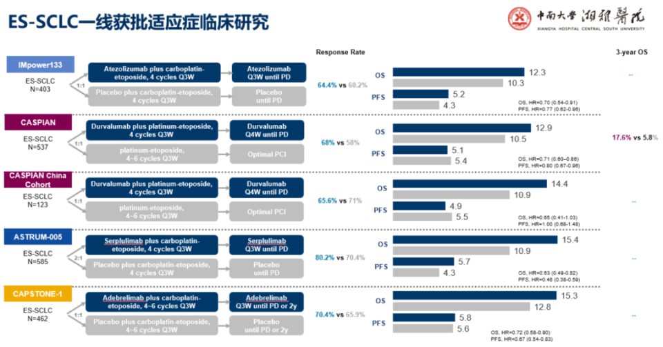 李敏教授：免疫时代SCLC治疗进展和探索丨2024中华肺癌学术大会_腾讯新闻