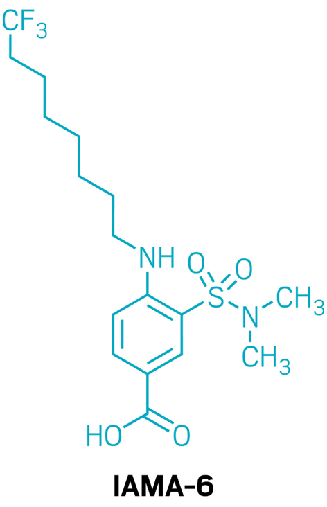 首次！2025年12款小分子新药结构揭晓_腾讯新闻