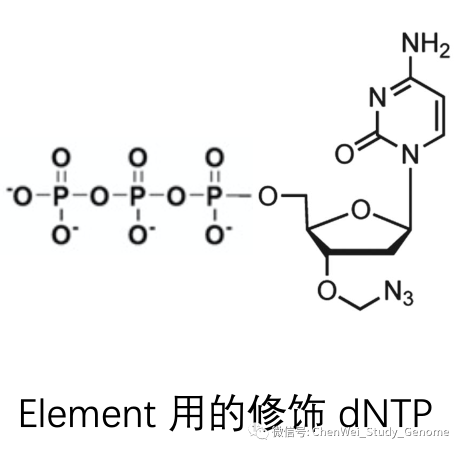 【陈巍学基因】视频：Element 公司的亲和子高通量测序_腾讯新闻