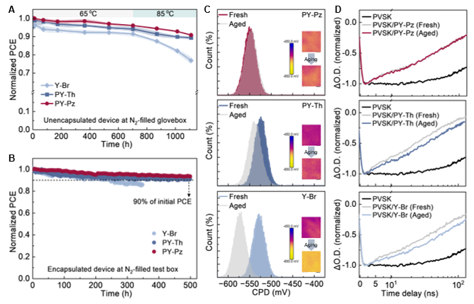 港城大Alex K.-Y. Jen团队Joule：聚合Y系列非富勒烯受体作为高效钙钛矿太阳能电池的电子传输层_腾讯新闻
