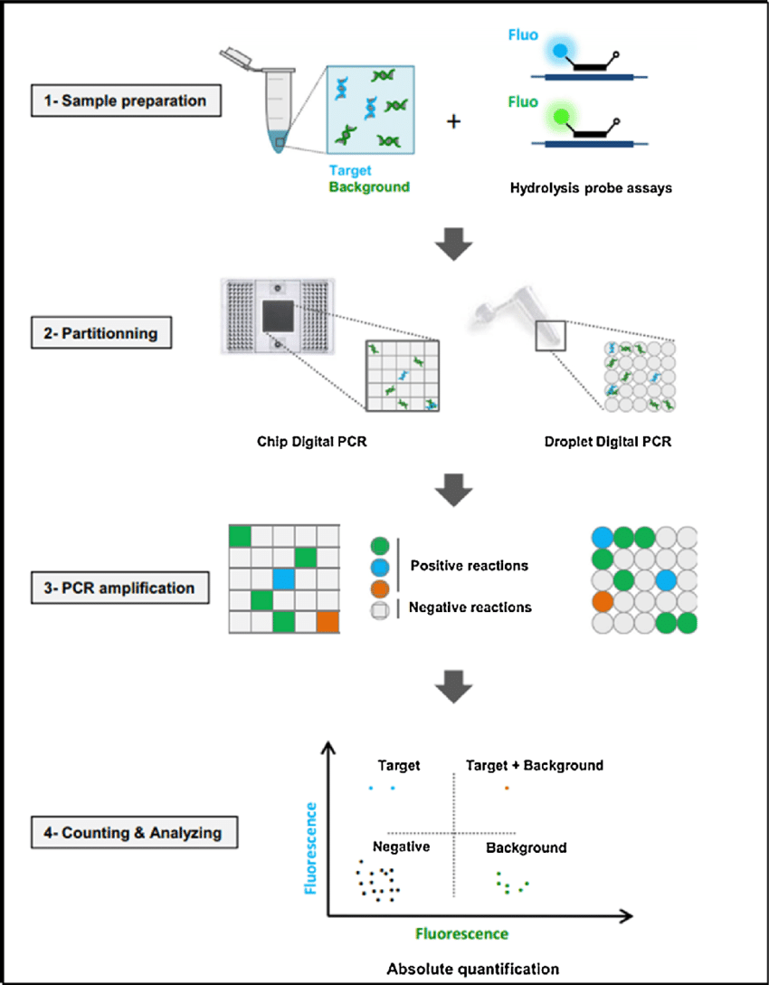 一文读懂：PCR，qPCR，Real-time PCR，RT-PCR和RT-qPCR_腾讯新闻