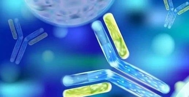 BMS超15亿美元引入的靶向TIGIT/CD96双抗，即将公布临床前数据！_腾讯新闻