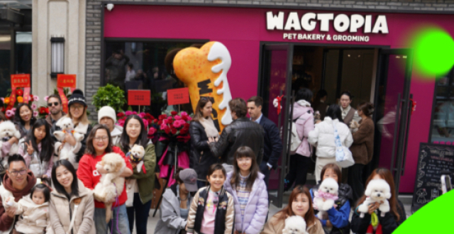 对话Wagtopia：基于宠物，人们自然生长出社群_腾讯新闻